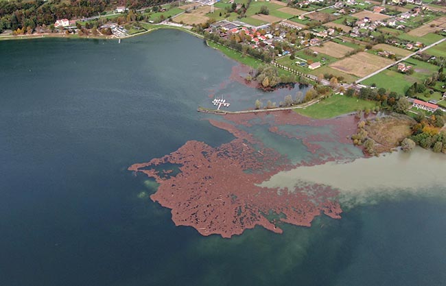 L'isola di Ponte Caffaro